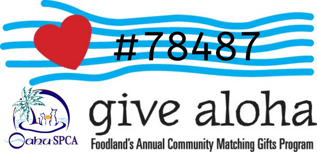 Support Oahu SPCA through Foodland's Give Aloha Campaign